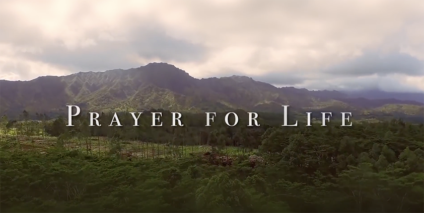 Respect Life Prayer – Men of St. Michael